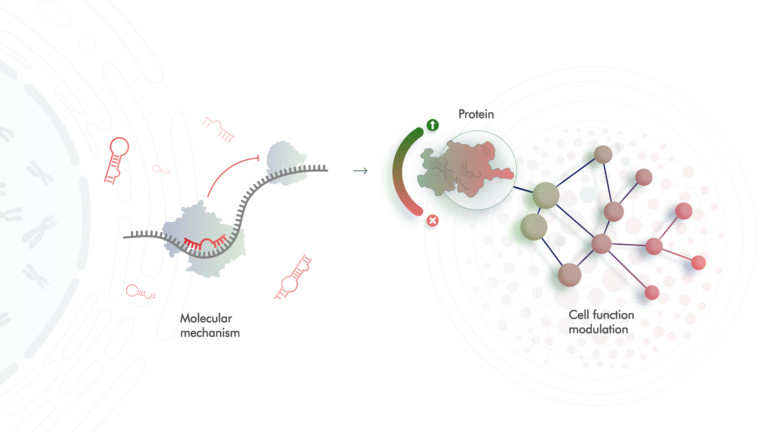 Our Technology – MirScience